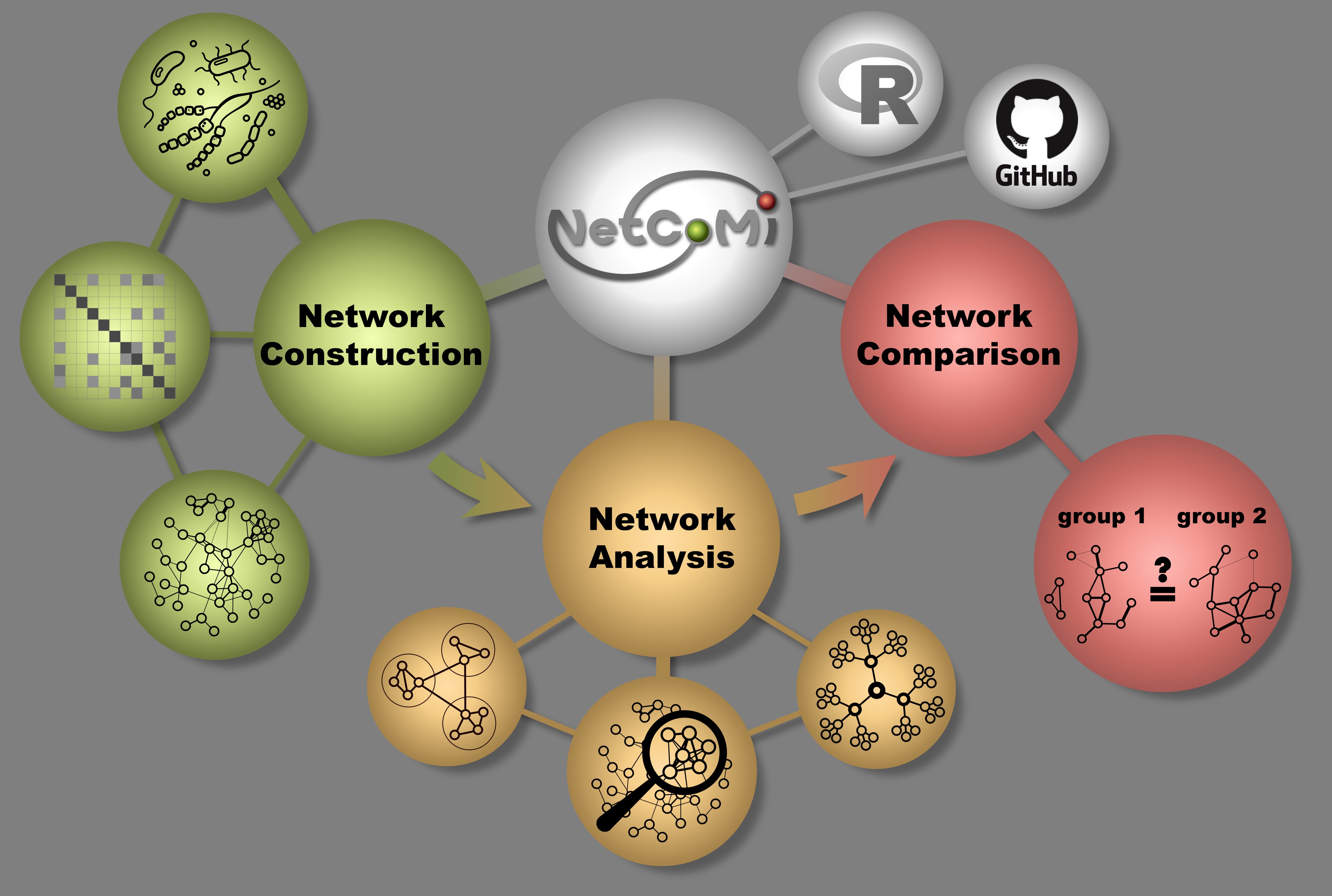 NetCoMi | Stefanie Peschel